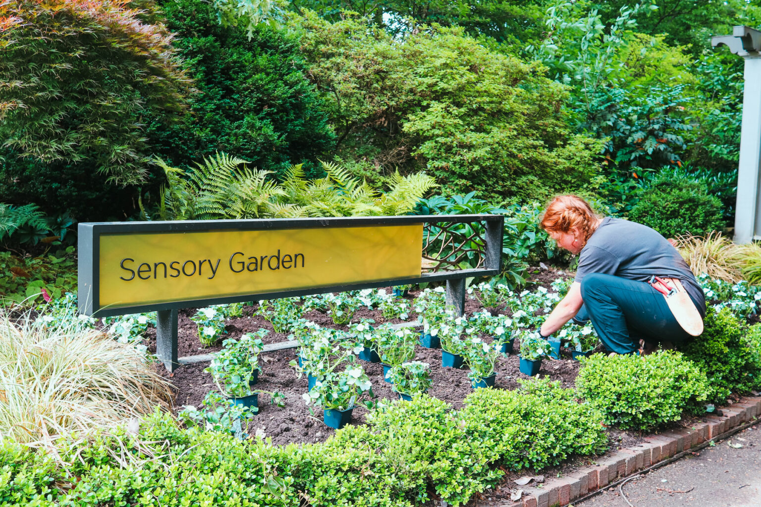 Memphis Botanic Garden - fd2s